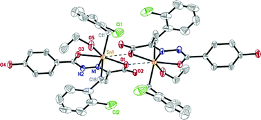 Chemistry and applications of organotin(iv) complexes of Schiff bases ...