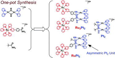 Syntheses, characterization, and photochemical properties of amidate ...