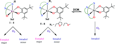 Iron(III) complexes of N2O and N3O donor ligands as functional models ...