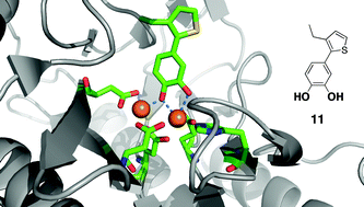 Emerging trends in metalloprotein inhibition - Dalton Transactions (RSC ...