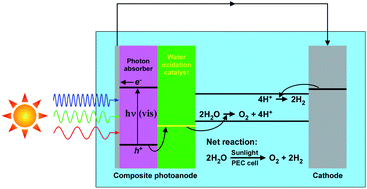 Composite photoanodes for photoelectrochemical solar water splitting ...