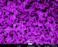 Spherical carbon particles and carbon nanotubes prepared by autogenic ...