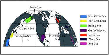 Roles of marginal seas in absorbing and storing fossil fuel CO2 ...