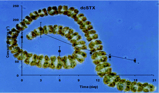 Depuration kinetics of paralytic shellfish toxins in Mytilus ...