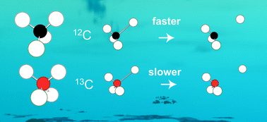 Stable isotope fractionation to investigate natural transformation ...