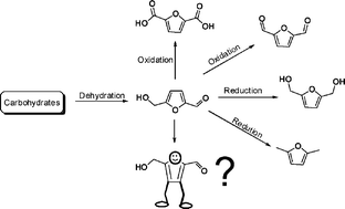 5-Hydroxymethylfurfural (HMF) as a building block platform: Biological ...