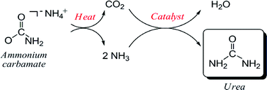 From greenhouse gas to feedstock: formation of ammonium carbamate from ...