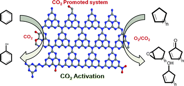 CO2 activation and promotional effect in the oxidation of cyclic ...