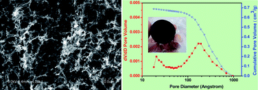 Conducting polymer aerogels from supercritical CO2 drying PEDOT-PSS ...