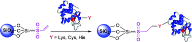 Vinyl sulfone functionalized silica: a “ready to use” pre-activated ...