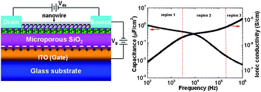 Low-voltage transparent SnO2 nanowire transistors gated by microporous ...