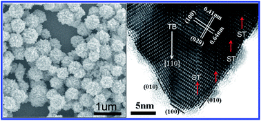 Flower-shaped PdI2 nanomaterials with remarkable surface-enhanced Raman ...