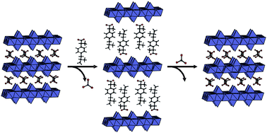 Hydroxy double salts as versatile storage and delivery matrices ...