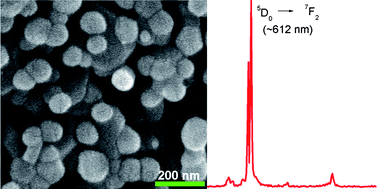 Perspective on europium activated fine-grained metal molybdate ...