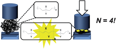 Characterizing the mechanochemically active domains in gem ...