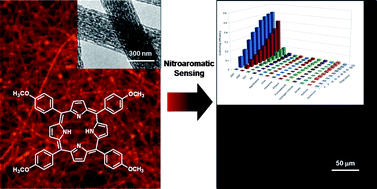 A facile and sensitive fluorescent sensor using electrospun nanofibrous ...