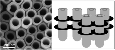 Formation, morphology control and applications of anodic TiO2 nanotube ...