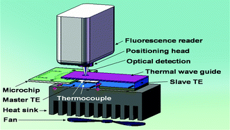 A large volume, portable, real-time PCR reactor - Lab on a Chip (RSC ...