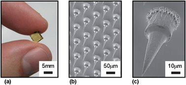 Surface-modified microprojection arrays for intradermal biomarker ...