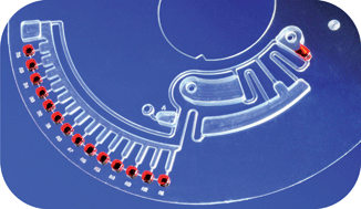 Centrifugal microfluidic system for primary amplification and secondary ...