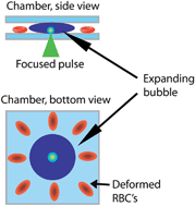 Red blood cell rheology using single controlled laser-induced ...