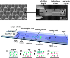 Lab-on-a-chip based immunosensor principles and technologies for the ...