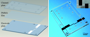 A three-layer PMMA electrophoresis microchip with Pt microelectrodes ...