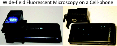 Cost-effective and compact wide-field fluorescent imaging on a cell ...