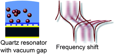 Femtogram mass resolution in a liquid environment using a low loss ...