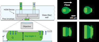 Design of hydrodynamically confined microfluidics: controlling flow ...