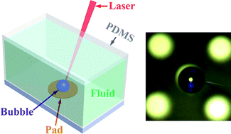 Laser-induced thermal bubbles for microfluidic applications - Lab on a ...