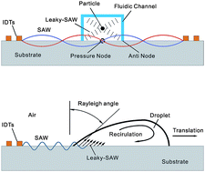 Recent advances in particle and droplet manipulation for lab-on-a-chip ...