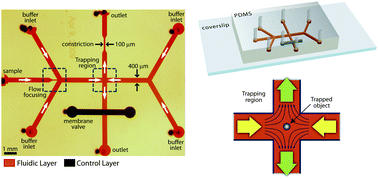 A microfluidic-based hydrodynamic trap: design and implementation - Lab on a Chip (RSC Publishing)
