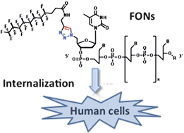 Fluorocarbon oligonucleotide conjugates for nucleic acids delivery ...