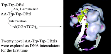 A class of novel AA-Trp-Trp-OBzl: synthesis, in vitro anti ...