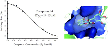 Fast and effective identification of the bioactive compounds and their ...