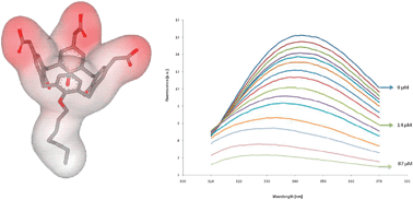 Magnesium dependent complexation of tri-anionic calix[4]arene ...