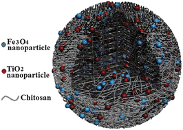 Facile fabrication of porous chitosan/TiO2/Fe3O4 microspheres with ...