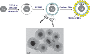 Silver/carbon-quantum-dot plasmonic luminescent nanoparticles - New ...