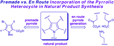 Synthesis of natural products containing the pyrrolic ring - Natural ...