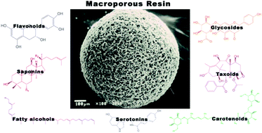 Development of adsorptive (non-ionic) macroporous resins and their uses ...