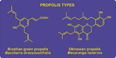 Propolis research and the chemistry of plant products - Natural Product ...
