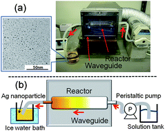 Access to small size distributions of nanoparticles by microwave ...