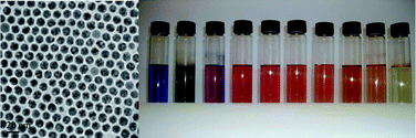 Monodispersity control in the synthesis of monometallic and bimetallic ...