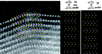 Insights into the capping and structure of MoS2 nanotubes as revealed ...