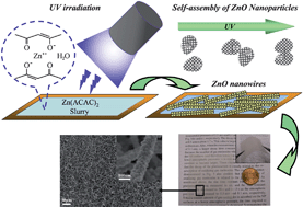 Rapidly synthesized ZnO nanowires by ultraviolet decomposition process ...
