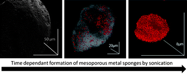 Sonochemical formation of metal sponges - Nanoscale (RSC Publishing)