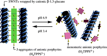 Hierarchical polymer assemblies constructed by the mutual template ...