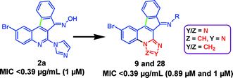 Synthesis and structure of azole-fused indeno[2,1-c]quinolines and ...