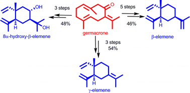 Efficient synthesis of the anticancer β-elemene and other bioactive ...